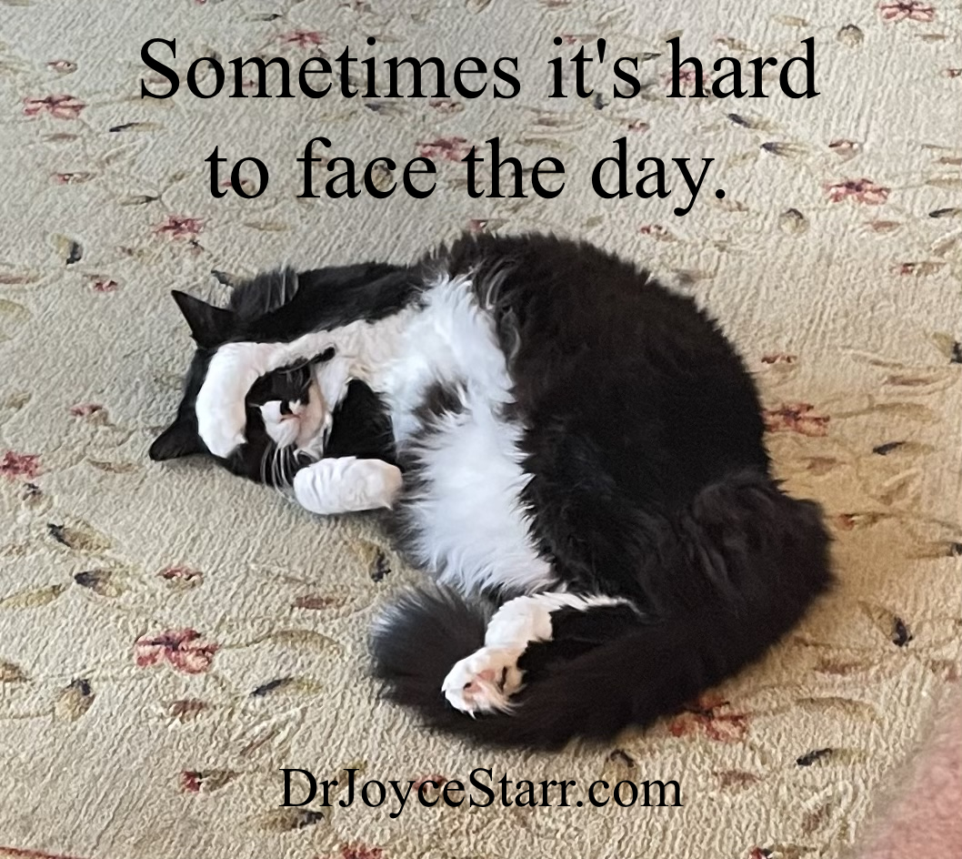 Rights Radio – RightsRadio.com | Consumer Rights, Economic Rights ...